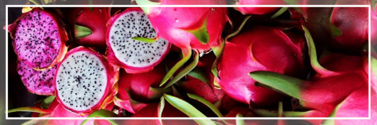 Tipos de Pitahayas y sus Características » 2022